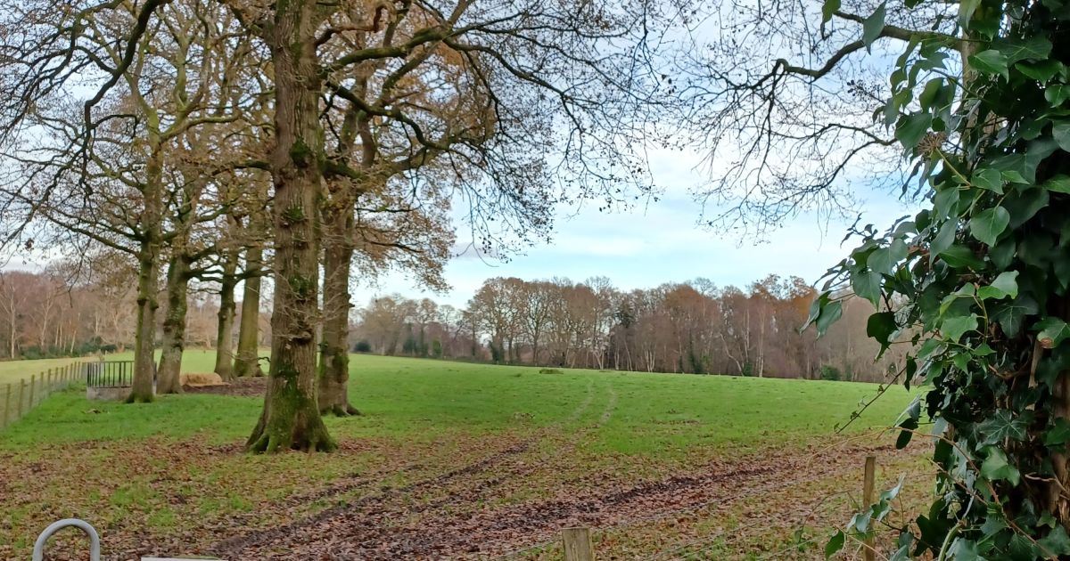 Sherfield English to Sandown Farm and Melchet Park - Ramblers